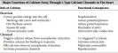 Fisiología cardiovascular: Acoplamiento de excitación-contracción ...